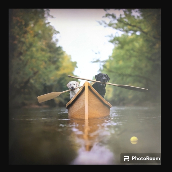 Ron Schmidt | Wall Decor | Ron Schmidt Framed Photograph Print Lab Dogs ...